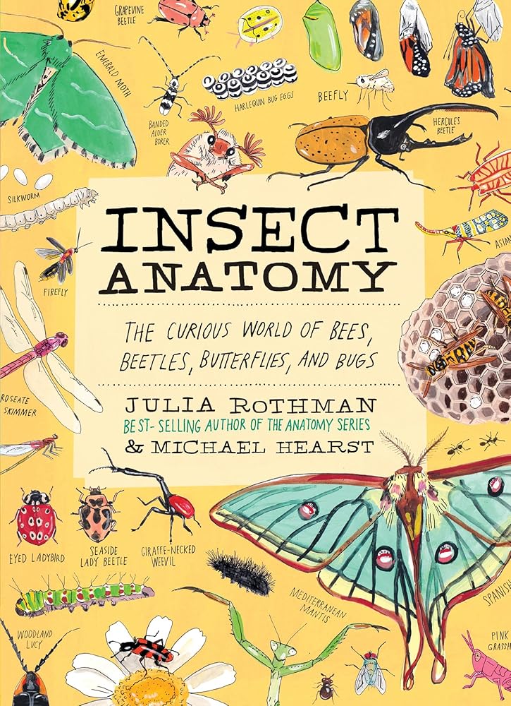 Insect Anatomy: The Curious World of Bees, Beetles, Butterflies, and B