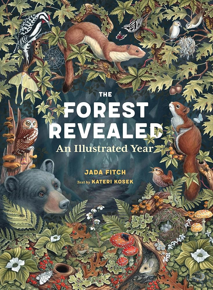 The Forest Revealed: An Illustrated Year by Jada Fitch, Kateri Kosek