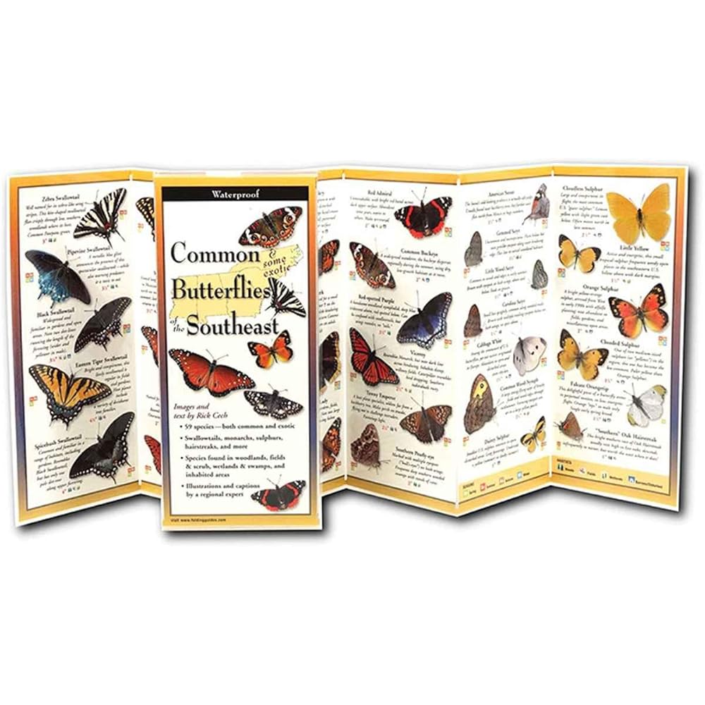 Common Butterflies of the Southeast: Folding Guide (Foldingguides) by