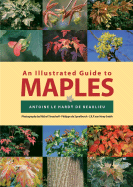 An Illustrated Guide to Maples