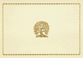 Tree of Life cards
